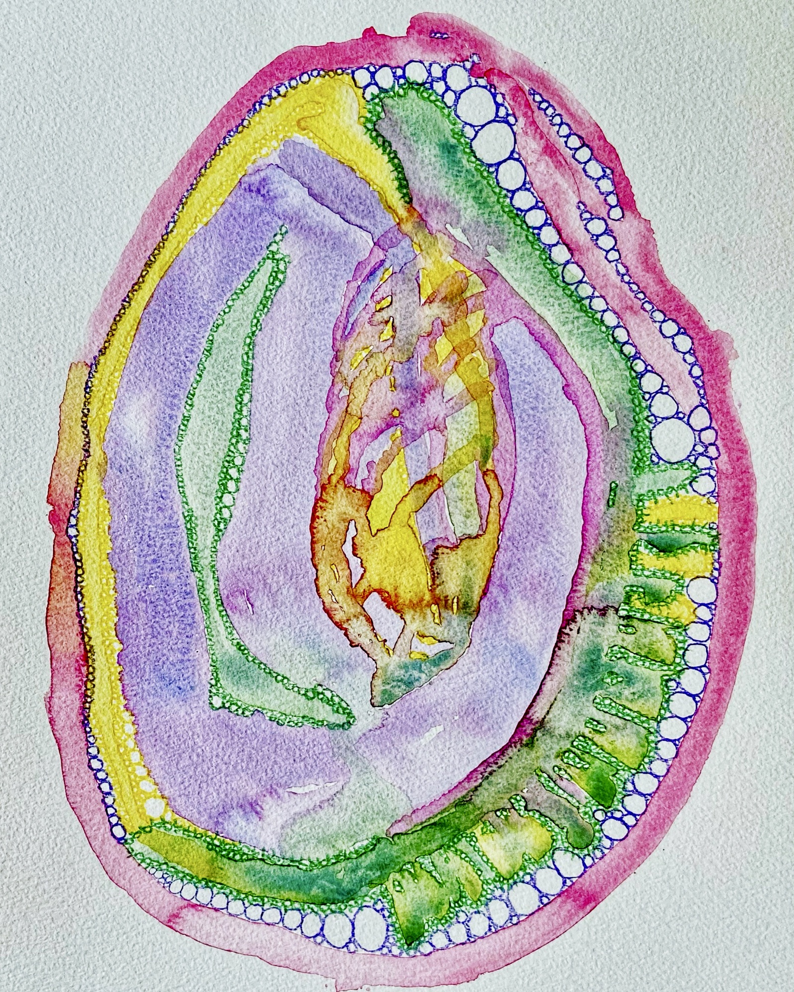 Enhanced abstract abalone shell | theINFP