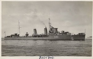 theINFP | I aim to bring delight to others by sharing my creative ...